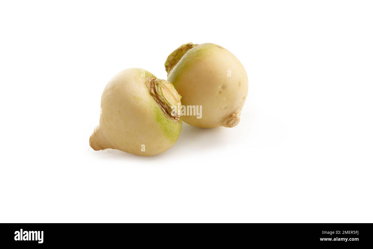 Turnip illustration hi-res stock photography and images - Alamy