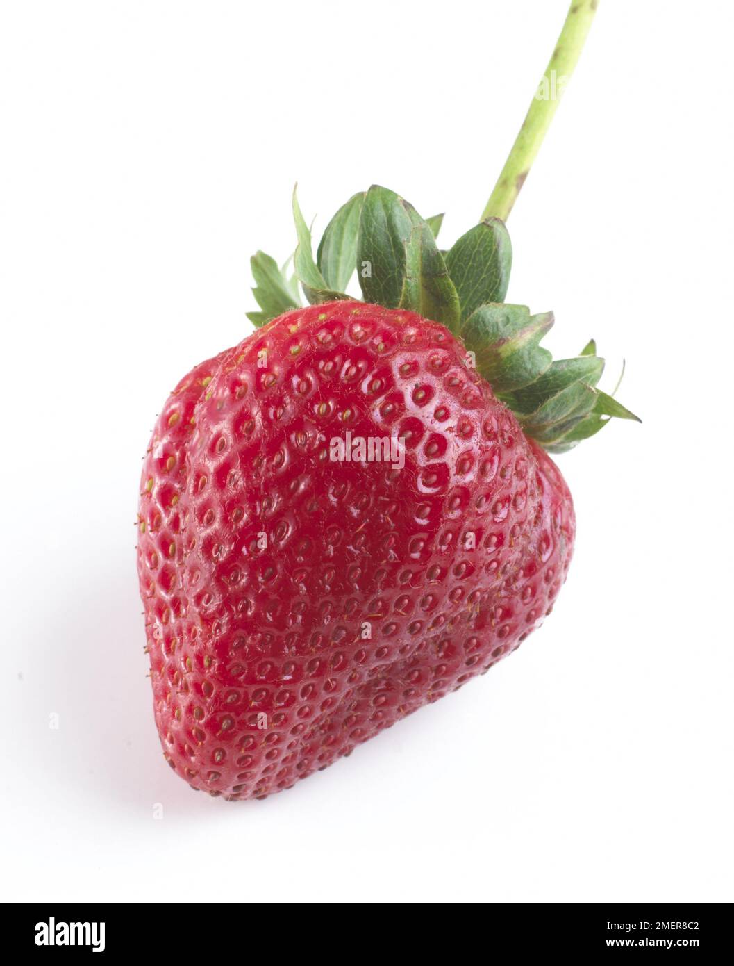 One strawberry stem hi-res stock photography and images - Alamy