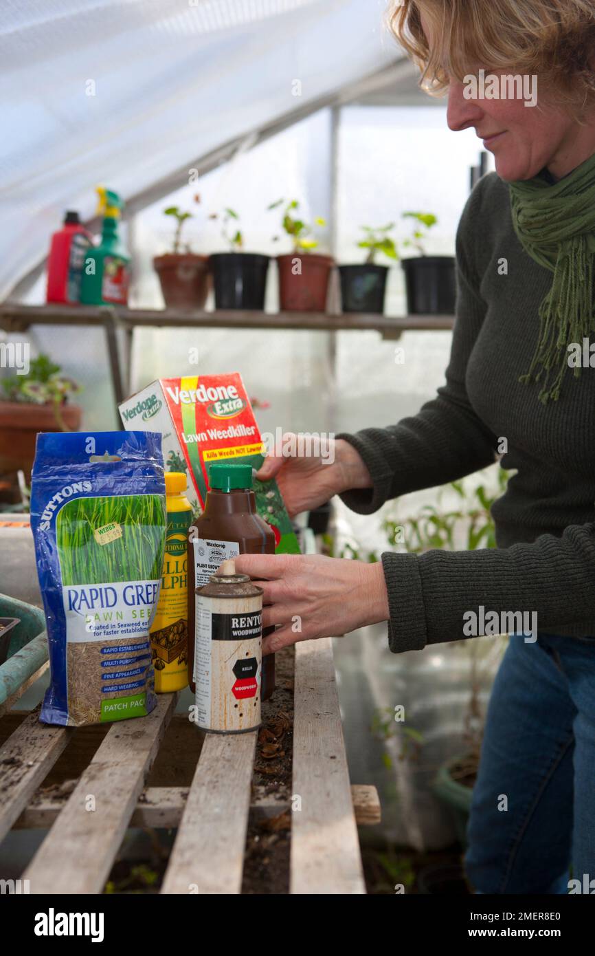 Woman in greenhouse sorting containers of chemicals Stock Photo - Alamy