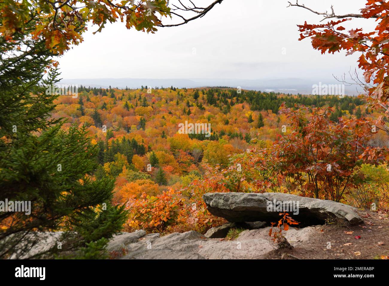 Mount greylock state reservation hi-res stock photography and images ...