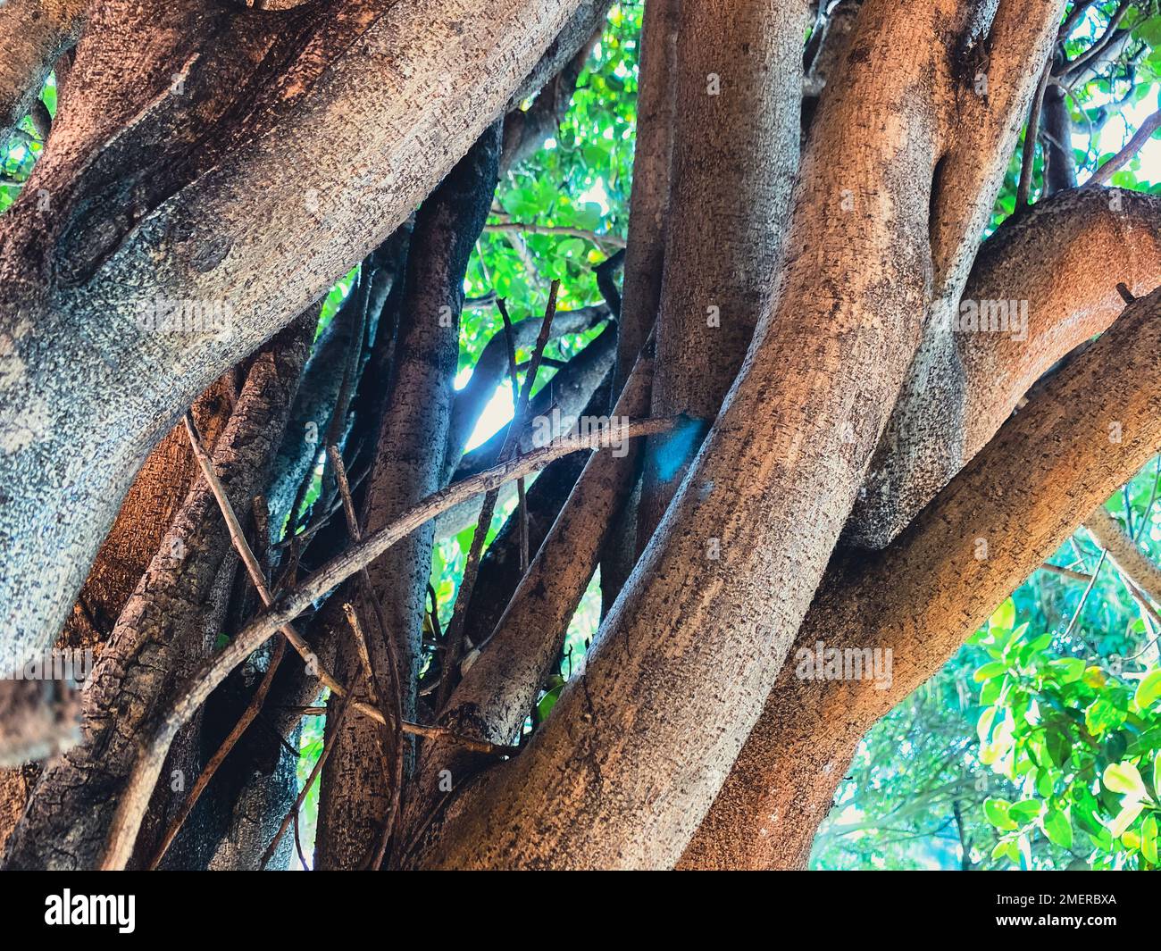 Paisajes de tierra hi-res stock photography and images - Alamy