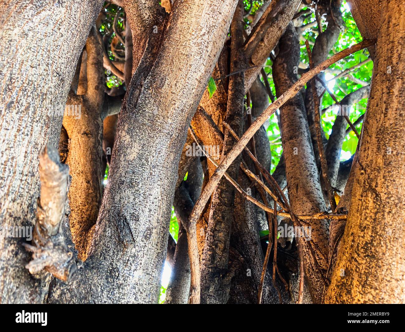 Portada de asia hi-res stock photography and images - Alamy