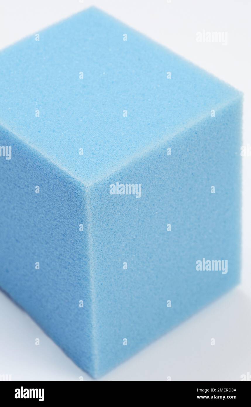 Sponge cube hi-res stock photography and images - Alamy Sponge cube hi-res stock photography and images - Alamy