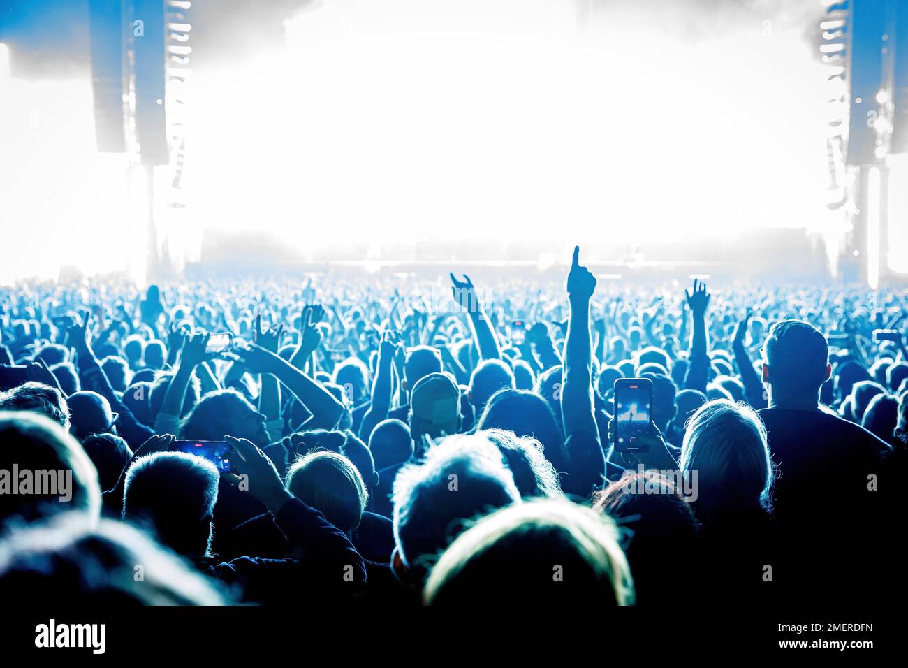The happy crowd in a concert hall. Silhouettes of raised hands Stock ...