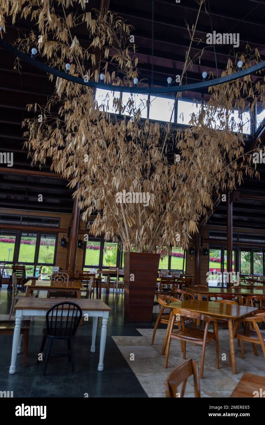 Cafe interior containing wooden tables and chairs in the middle of ...