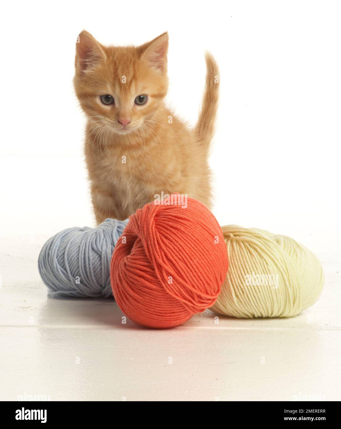 Three balls of wool hi-res stock photography and images - Alamy