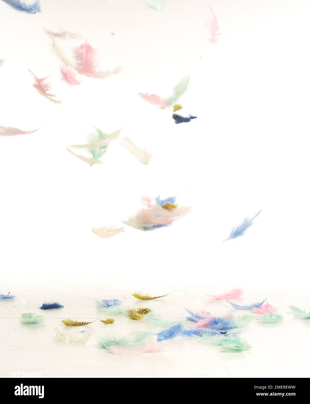 Feathers falling hi-res stock photography and images - Alamy
