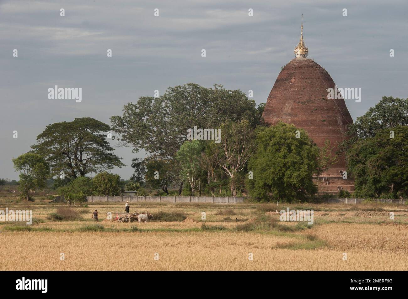 Myanmar, Pyay, Sri Ksetra (Thayekhittaya), Payamar (Phayamar Stock ...
