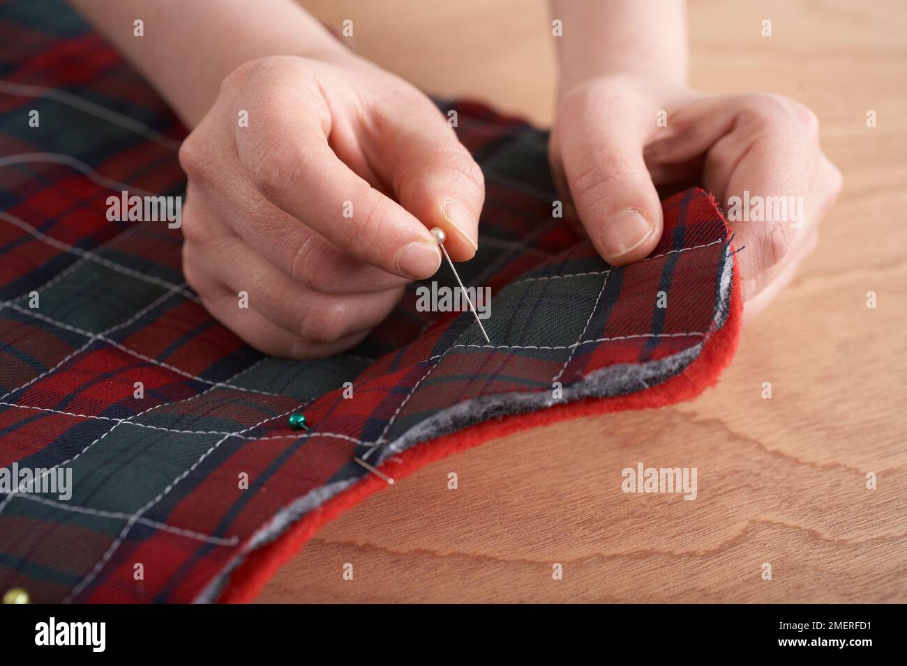 Dog jacket, pin the quilted upper and the fleece lining together Stock ...