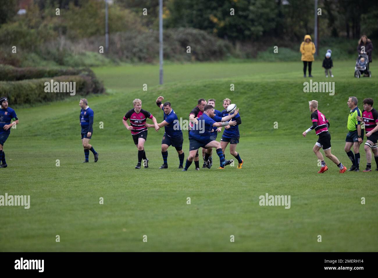 Rugby match, rugby game, rugby player, rugby scrum, rugby tackle, rugby ...