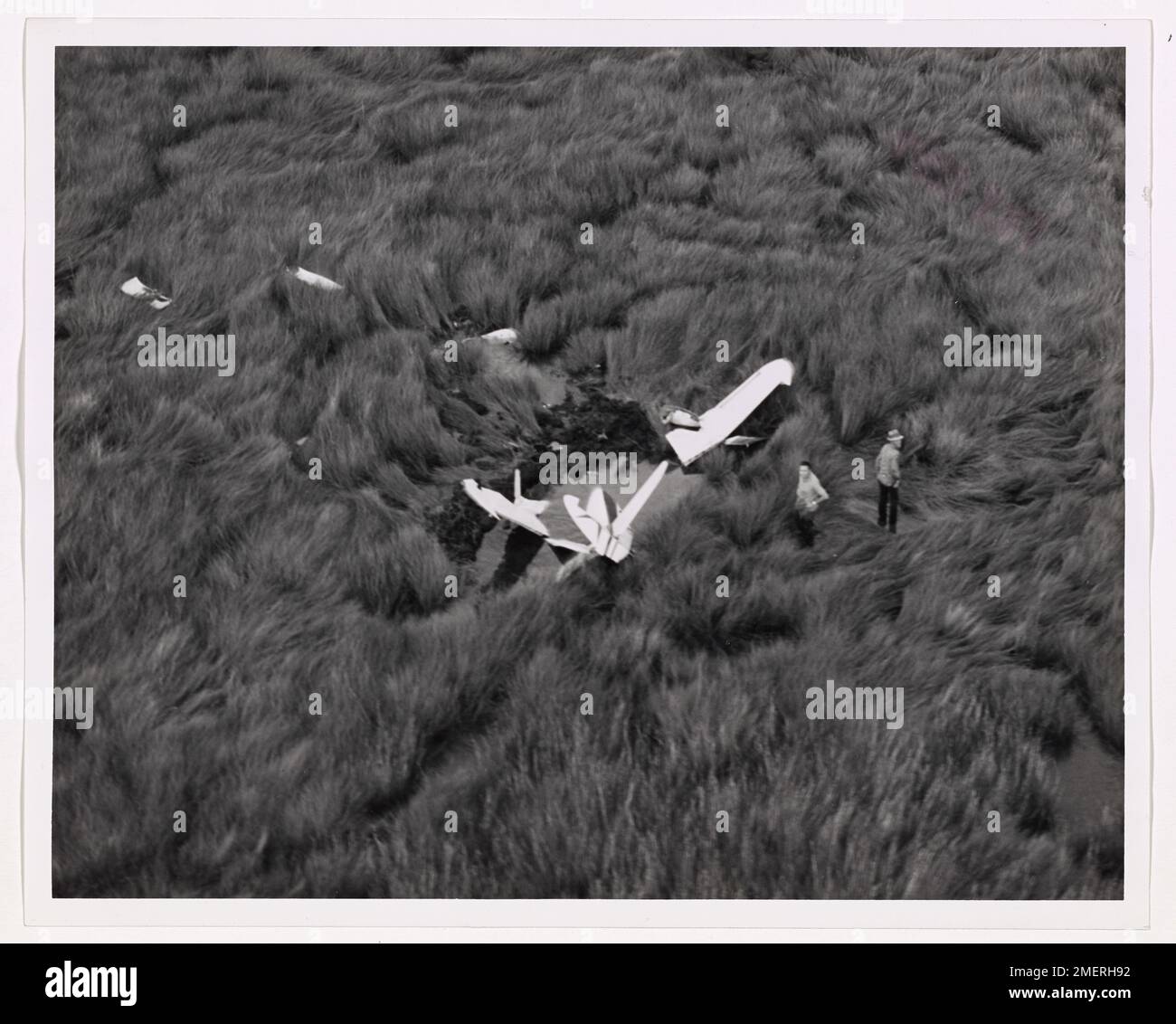Plane in Delacroix swamp. This image depicts a Coast Guard helicopter ...