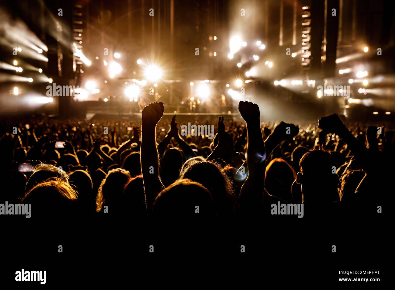 The happy crowd in a concert hall. Silhouettes of raised hands Stock ...