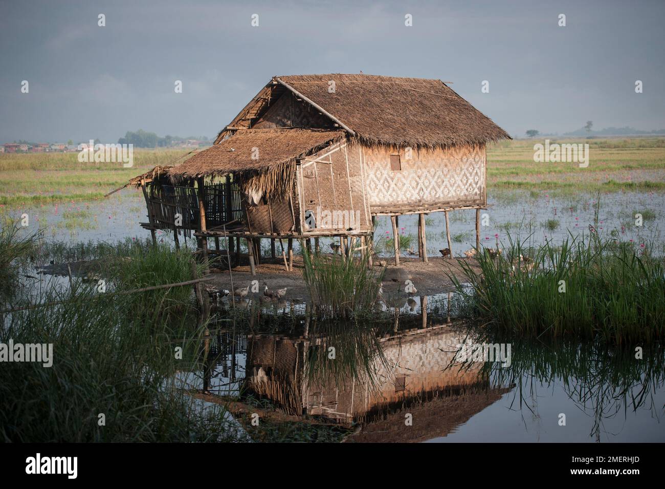 Myanmar, Eastern Myanmar, Inle Lake, house on stilts Stock Photo - Alamy