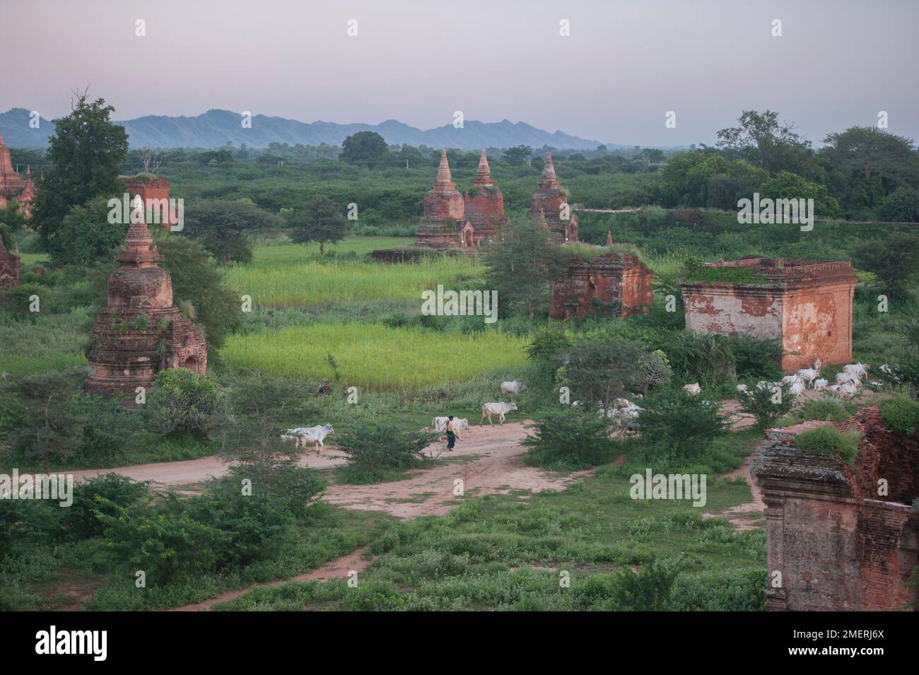 Myanmar, Western Burma, Bagan, sunset over Southern Plain Stock Photo ...
