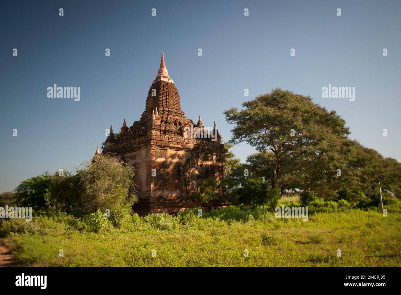 Temple grass hi-res stock photography and images - Alamy