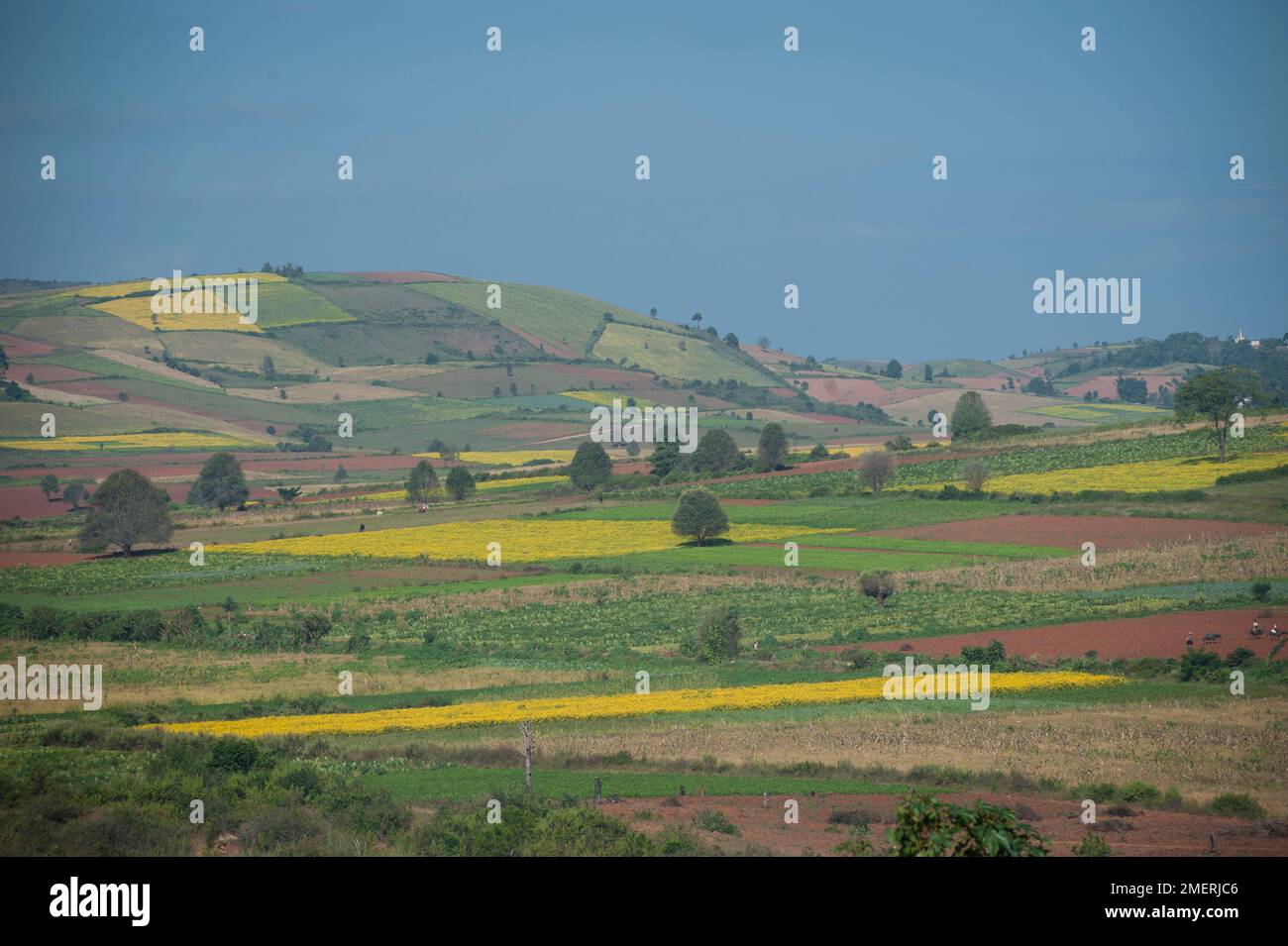 Myanmar, Eastern Burma, countryside near Kalaw and Nyaungshwe Stock ...