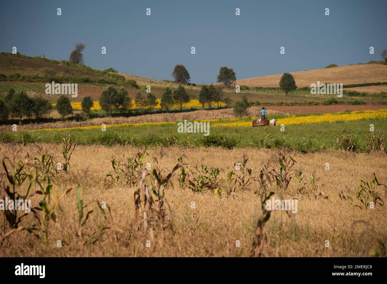 Myanmar, Eastern Burma, countryside near Kalaw and Nyaungshwe Stock ...