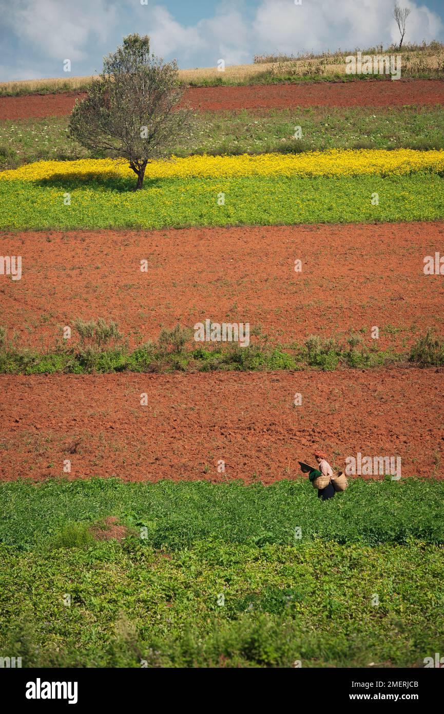 Myanmar, Eastern Myanmar, countryside near Kalaw and Nyaungshwe Stock ...