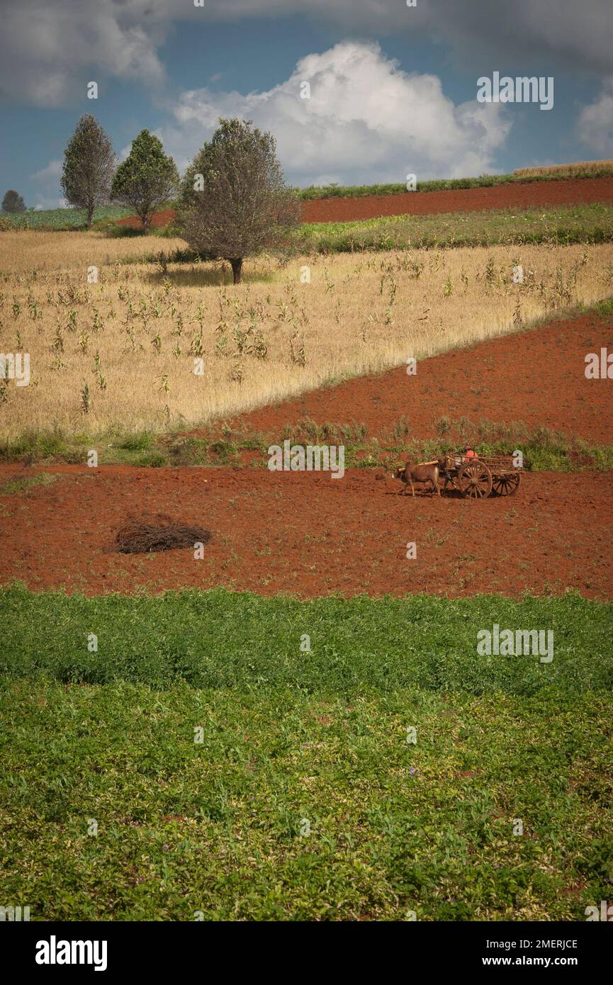 Myanmar, Eastern Burma, countryside near Kalaw and Nyaungshwe Stock ...