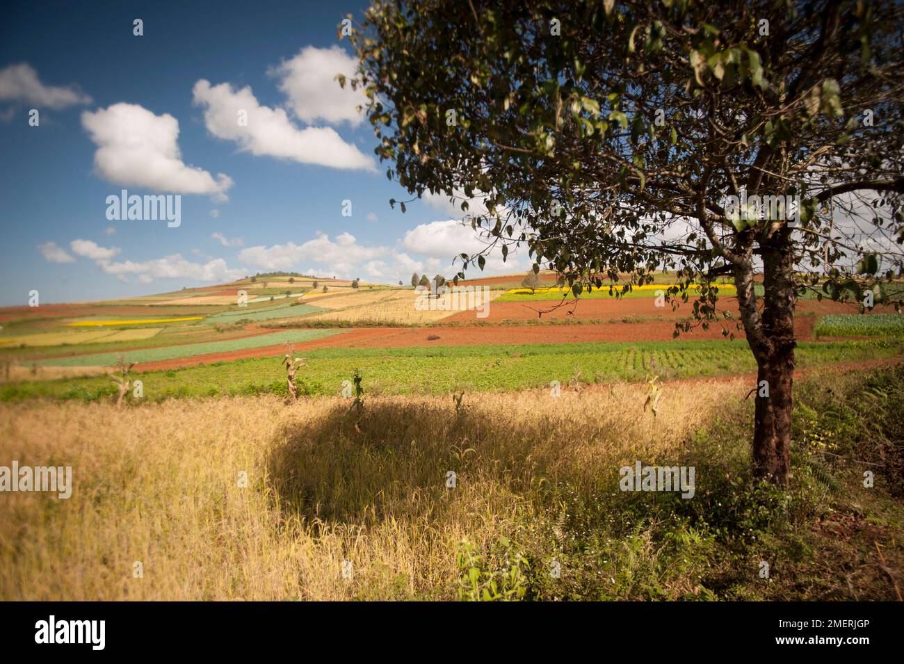 Myanmar, Eastern Burma, countryside near Kalaw and Nyaungshwe Stock ...
