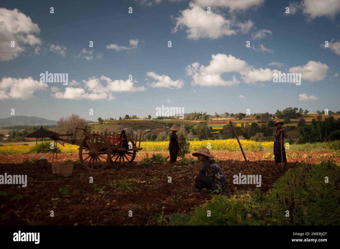 Myanmar, Eastern Burma, countryside near Kalaw and Nyaungshwe Stock ...