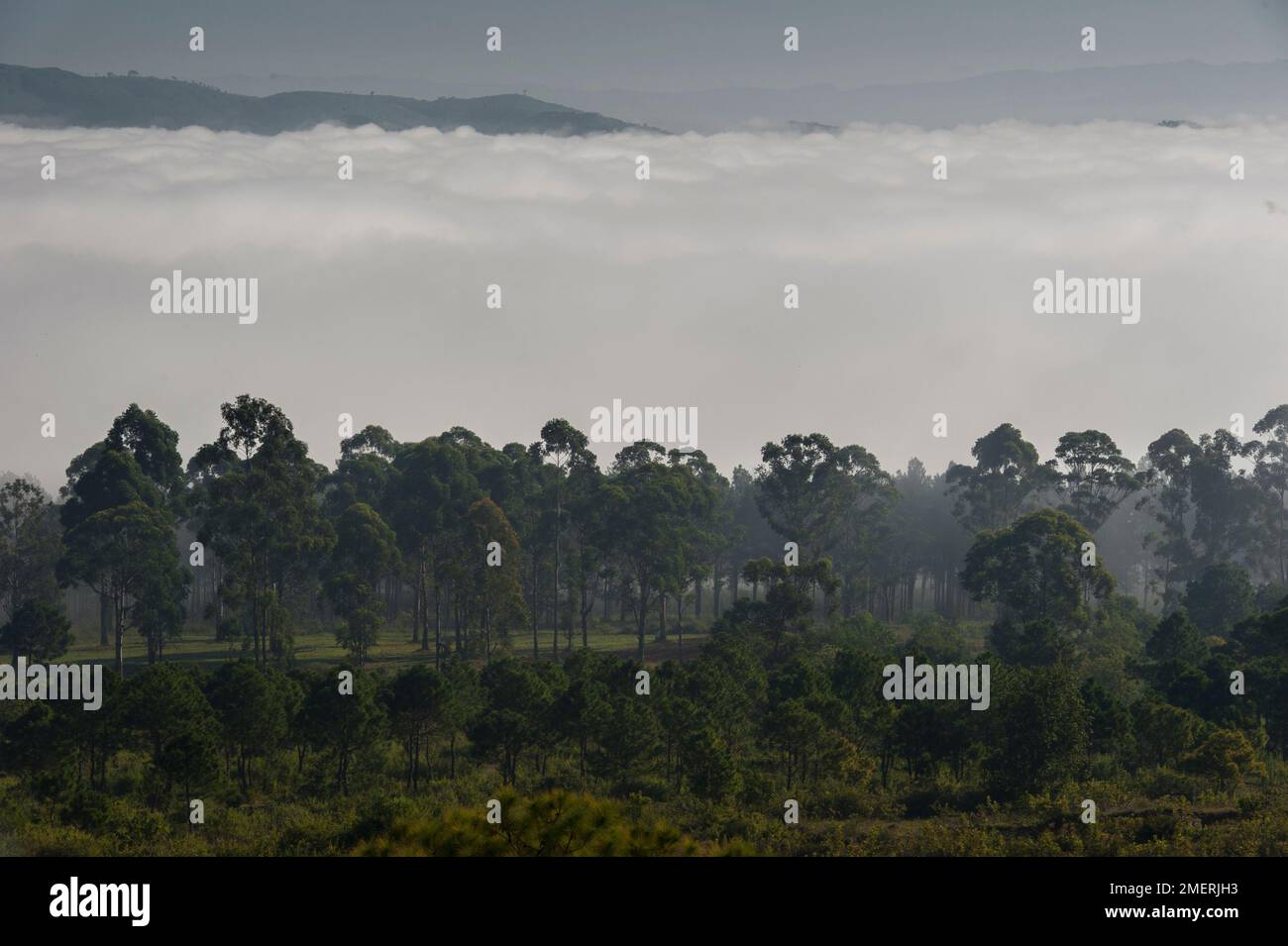 Myanmar, Western Burma, clouds in valley, route from Kalaw to Taunggyi ...