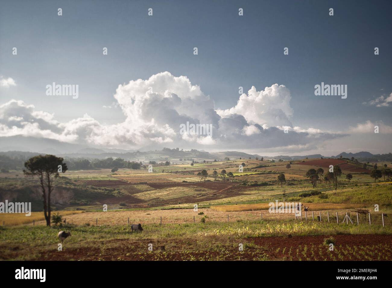 Myanmar, Eastern Burma, countryside around Kalaw and Pindaya Stock ...