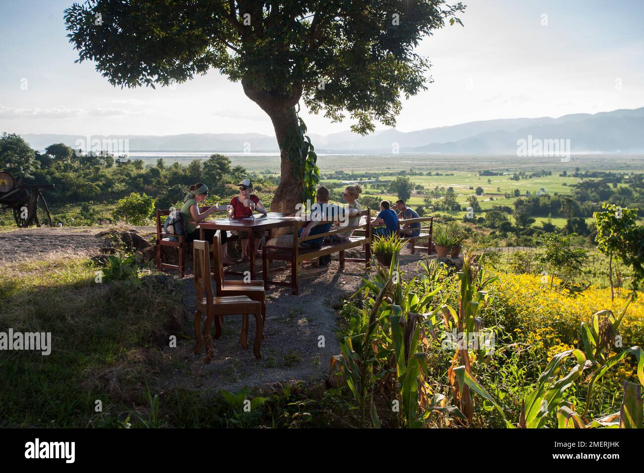 Myanmar, Western Burma, Nyaungshwe, Red Mountain Estate winery, terrace ...