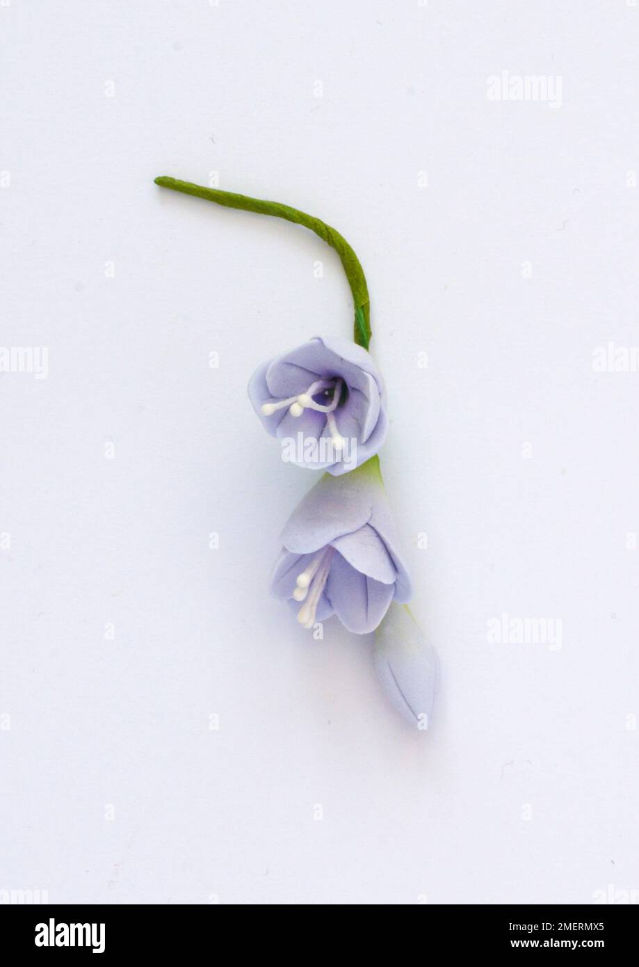 Bud shape flowers hi-res stock photography and images - Alamy