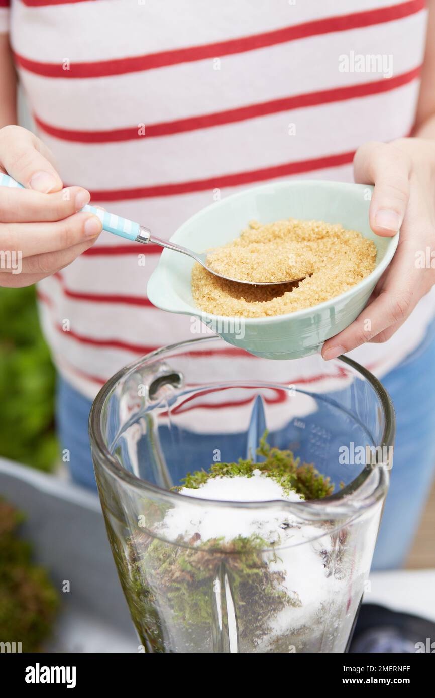 Adding sugar to buttermilk and moss mixture, to make paint mixture for ...