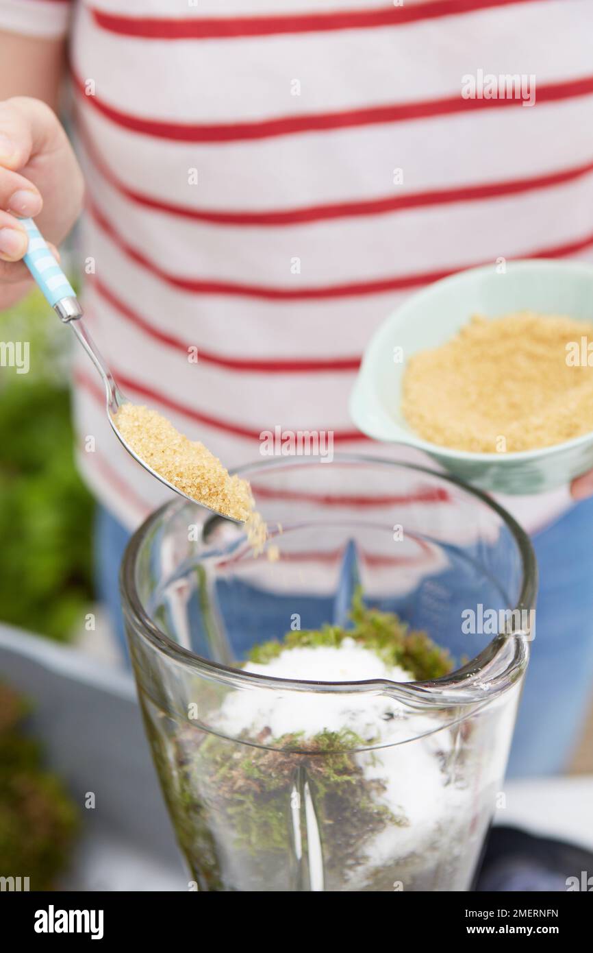 Adding sugar to buttermilk and moss mixture, to make paint mixture for ...