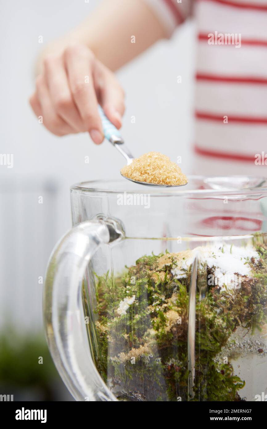 Buttermilk And Moss