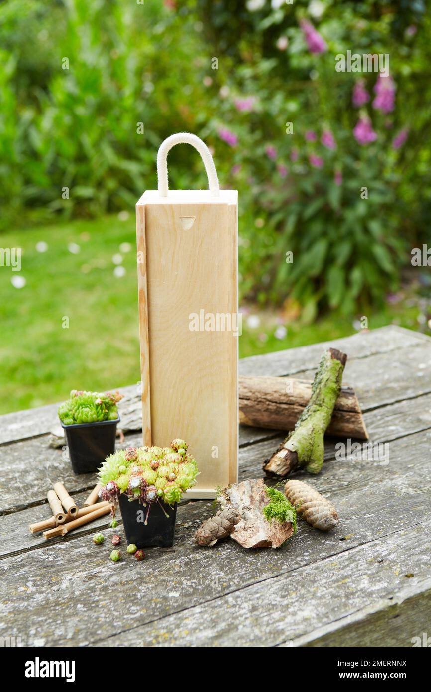 Insect hotel pine hi-res stock photography and images - Alamy