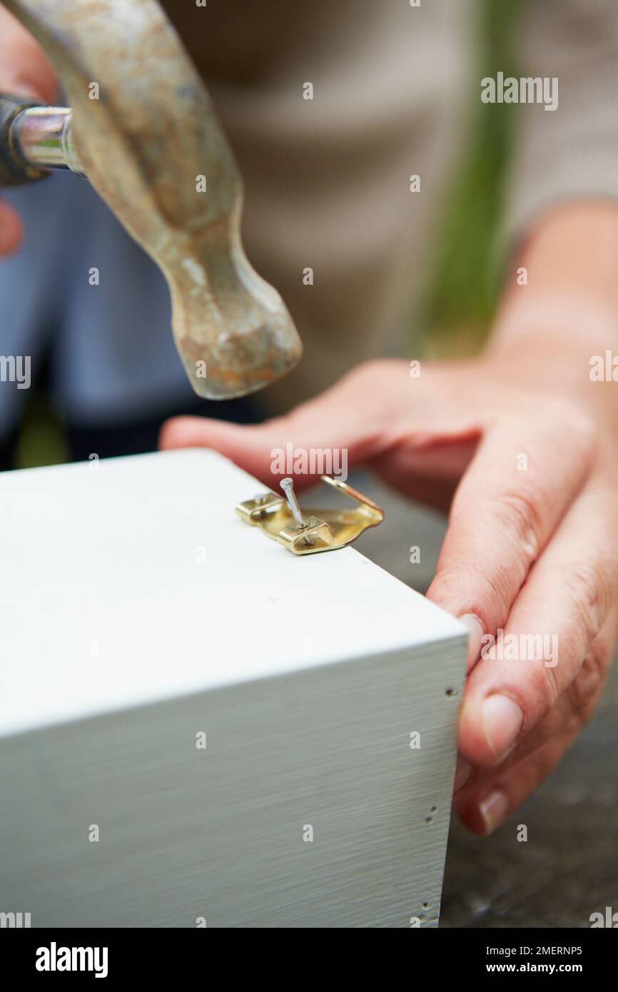 Building an insect hotel, attaching a hook Stock Photo - Alamy