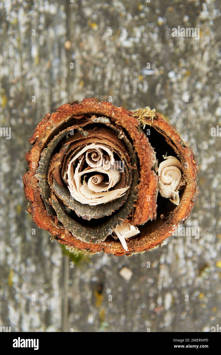 Rolled up materials hi-res stock photography and images - Alamy
