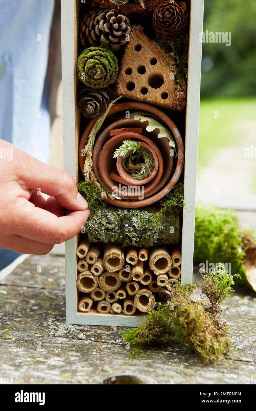Insect hotel making hi-res stock photography and images - Alamy