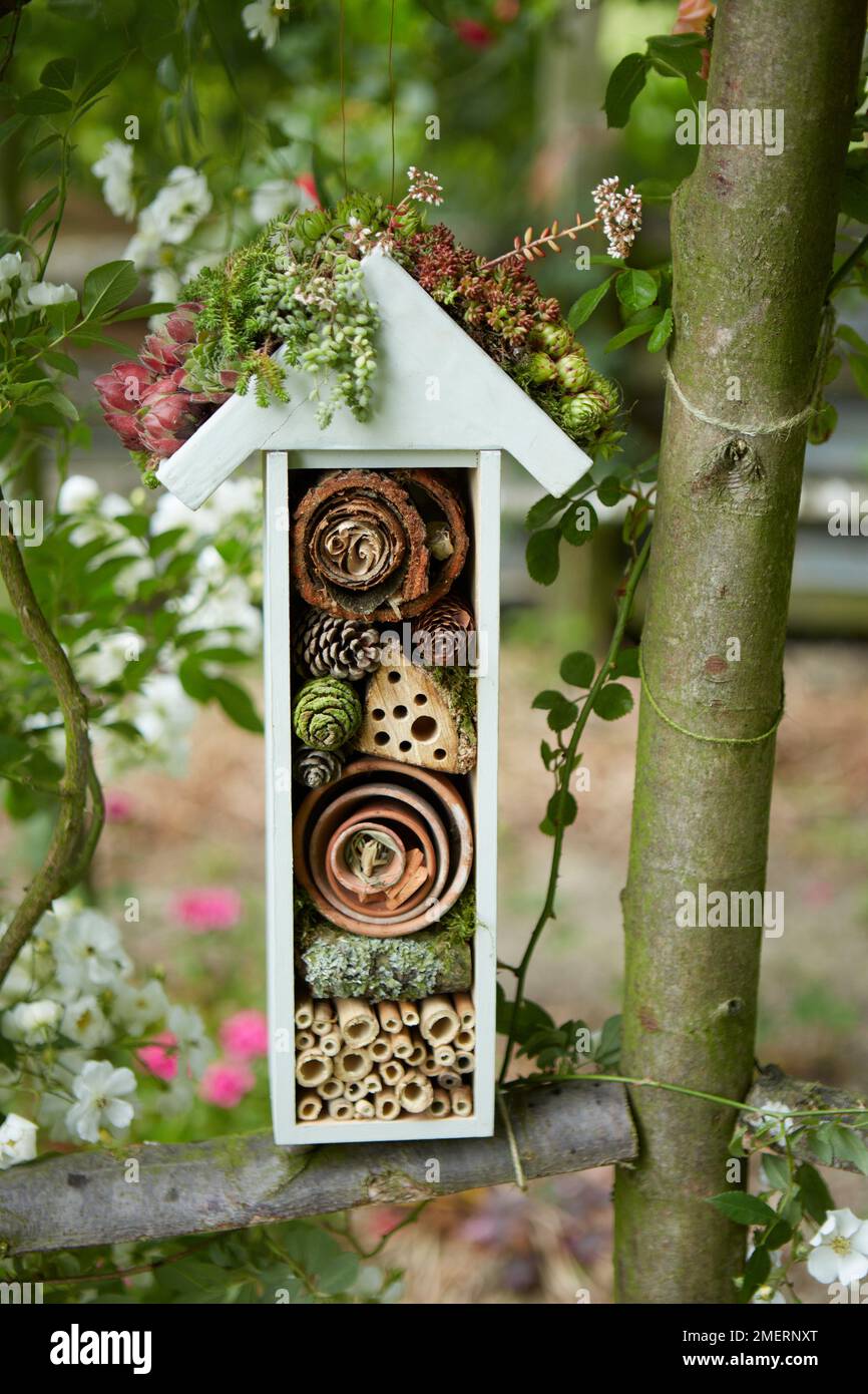 Insect hotel with planted roof Stock Photo - Alamy