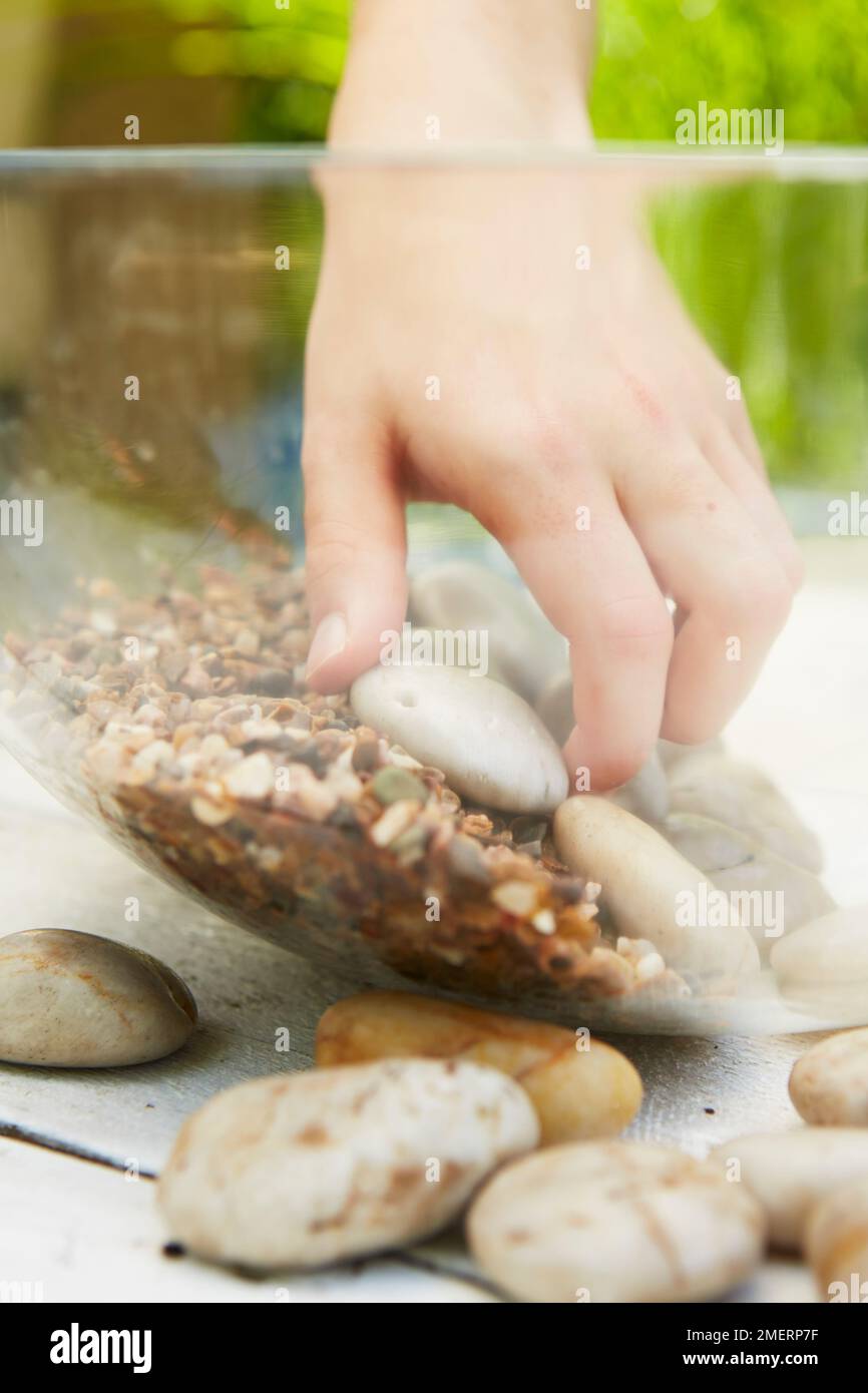 Table top water garden, positioning stones on gravel Stock Photo - Alamy
