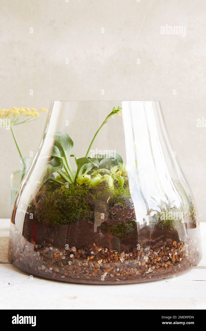 Daylight glass hi-res stock photography and images - Alamy