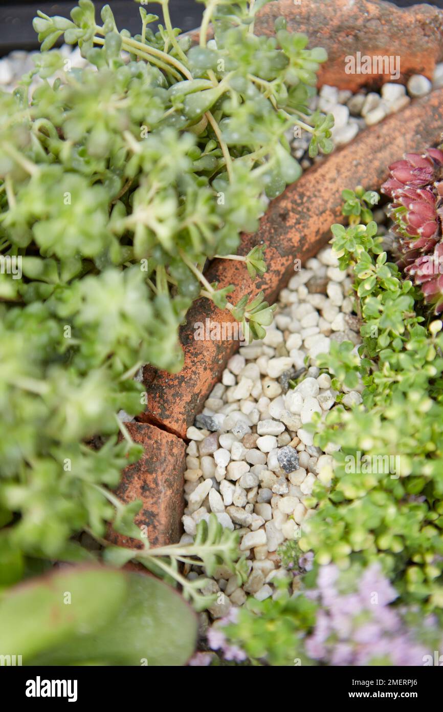 Alpine pebbles hi-res stock photography and images - Alamy