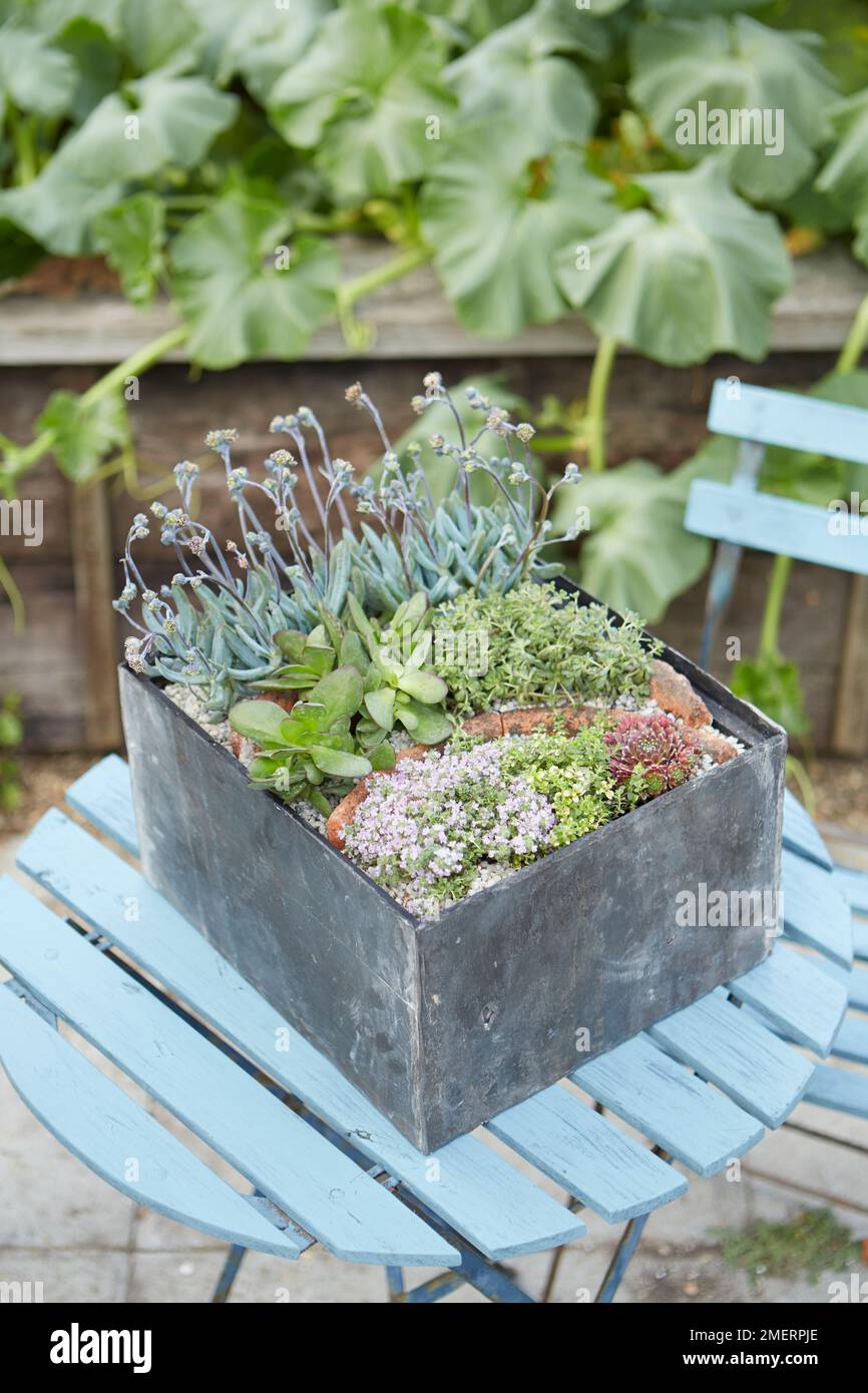 Planter up close hi-res stock photography and images - Alamy