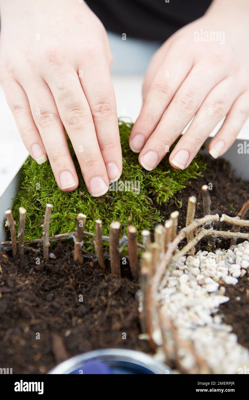 Making childrens' mini garden farm Stock Photo - Alamy
