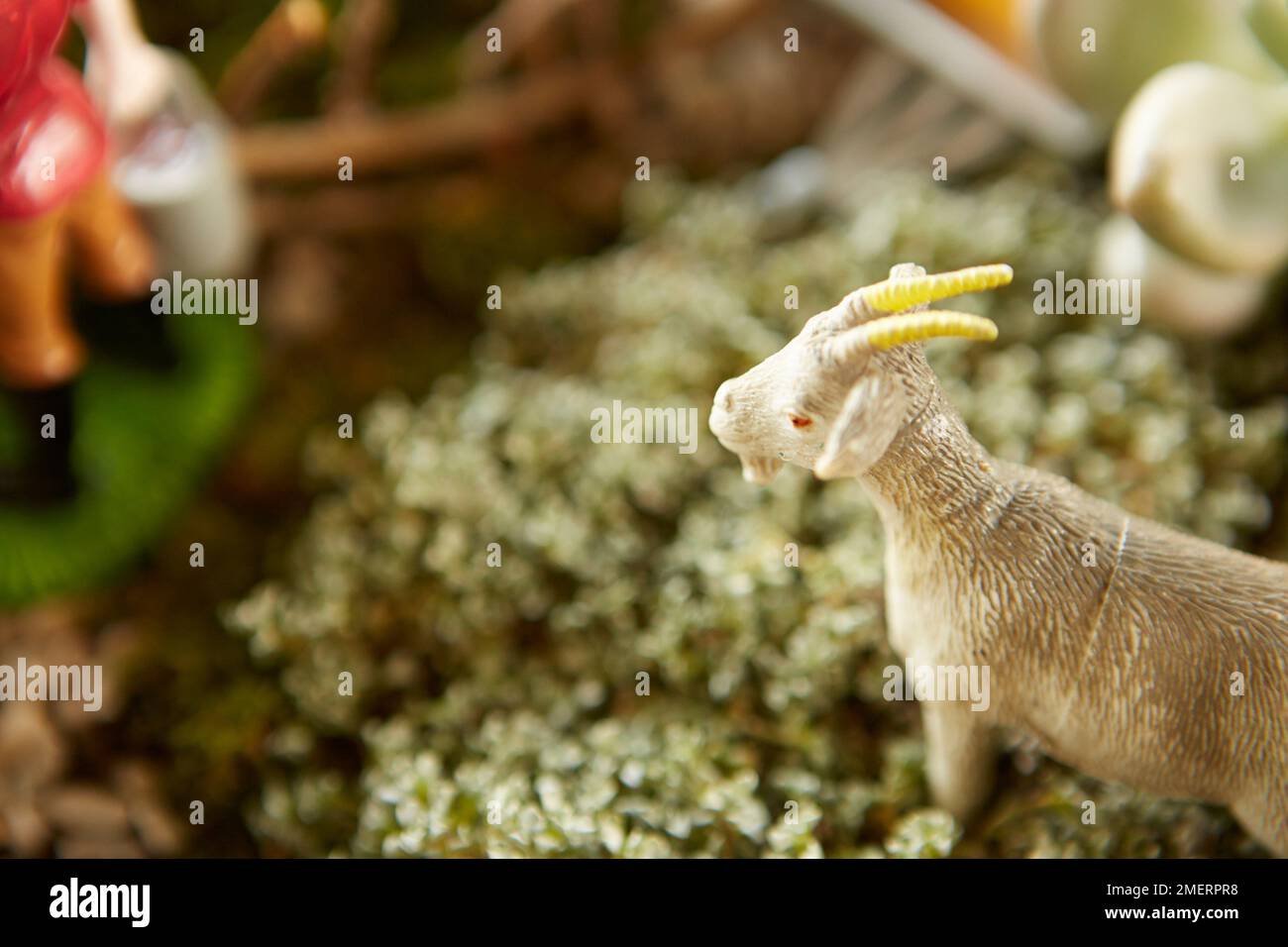 Mini plastic animals hi-res stock photography and images - Alamy