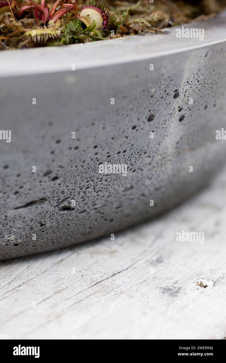 Concrete plant container Stock Photo - Alamy