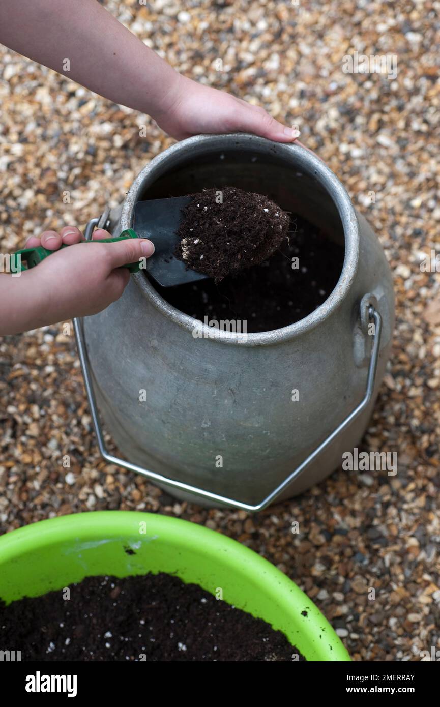Adding compost to a vintage milk churn Stock Photo - Alamy