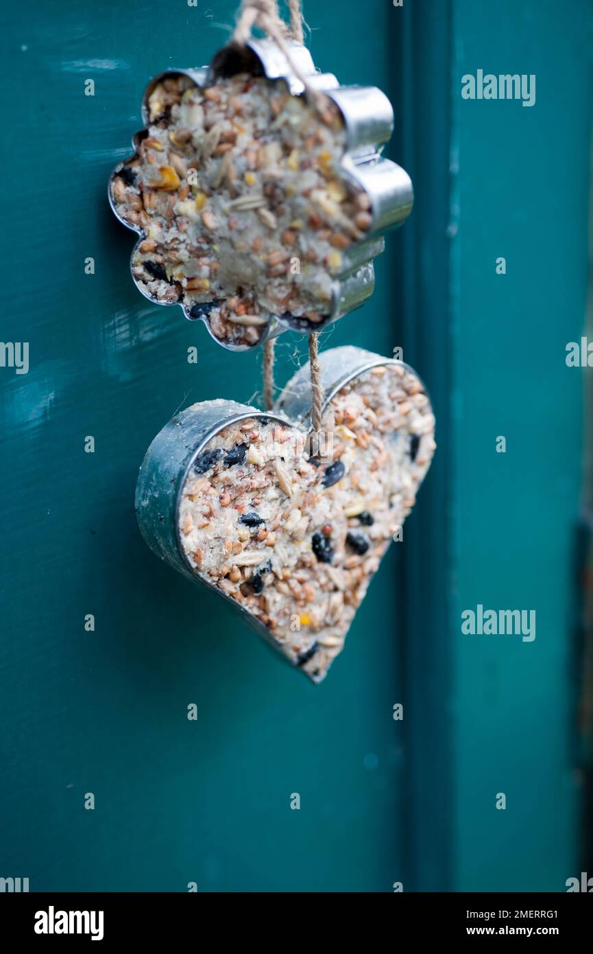 Bird cakes in heart shapes Stock Photo - Alamy