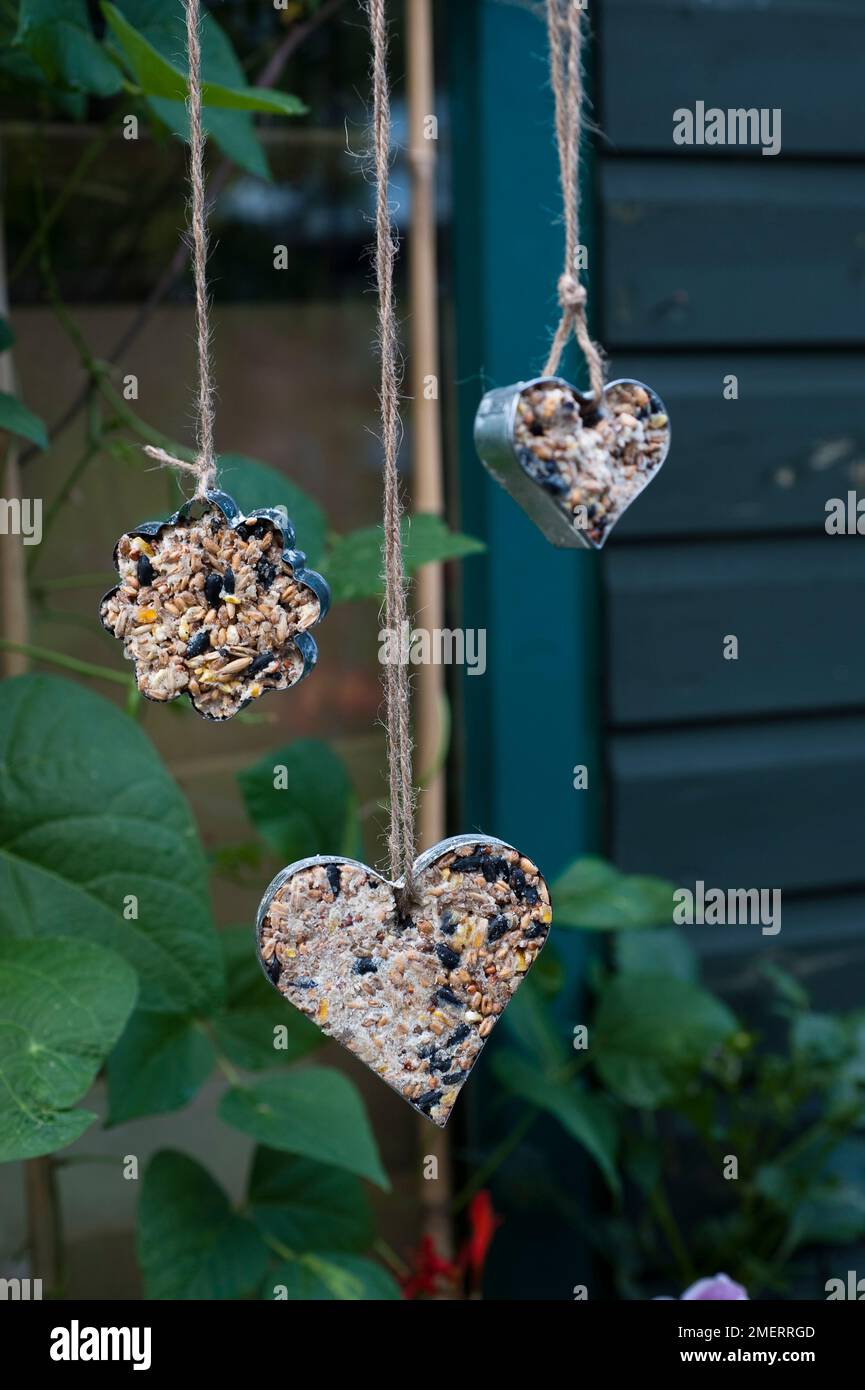Bird heart feeder hi-res stock photography and images - Alamy