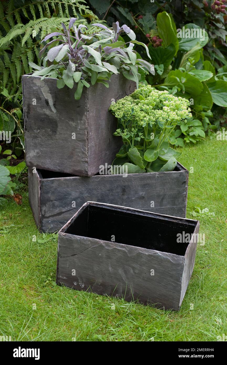 Planters box hi-res stock photography and images - Alamy