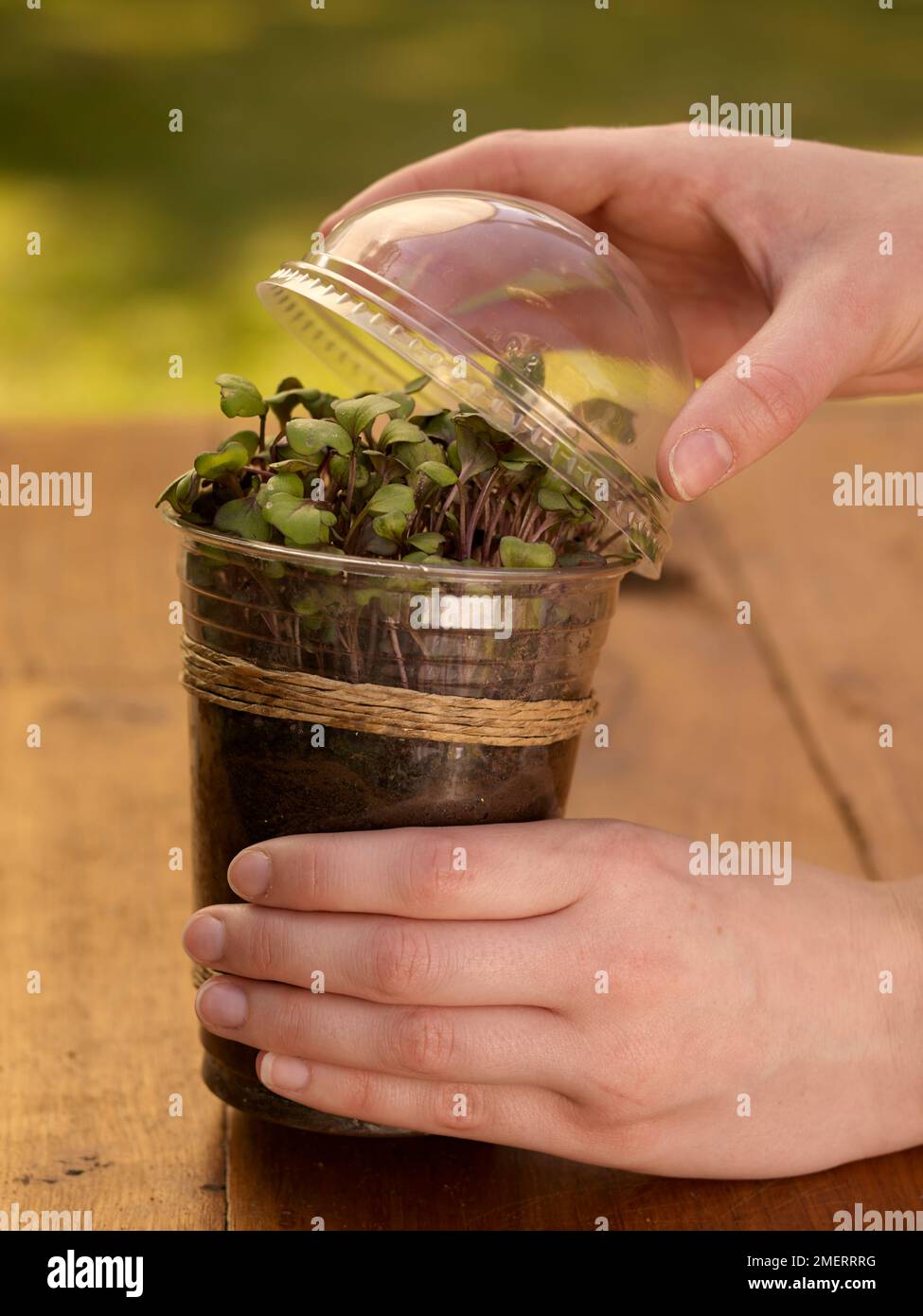 Taking off the lid hi-res stock photography and images - Alamy