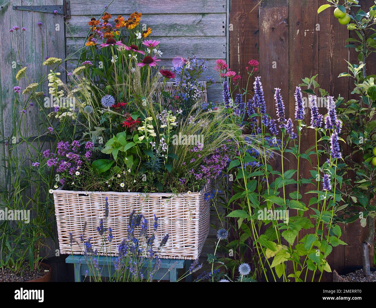 Daytime flower hi-res stock photography and images - Alamy